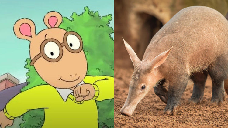 All About Aardvarks | An Arthur Appreciation Post